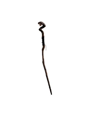 Wizard's Snake Staff - Halloween Costume