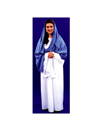 Adult Mary Costume - Adult Mary Costumes