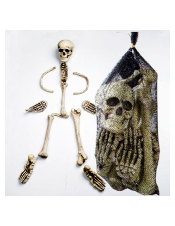 Bag of Bones Prop - Halloween Props