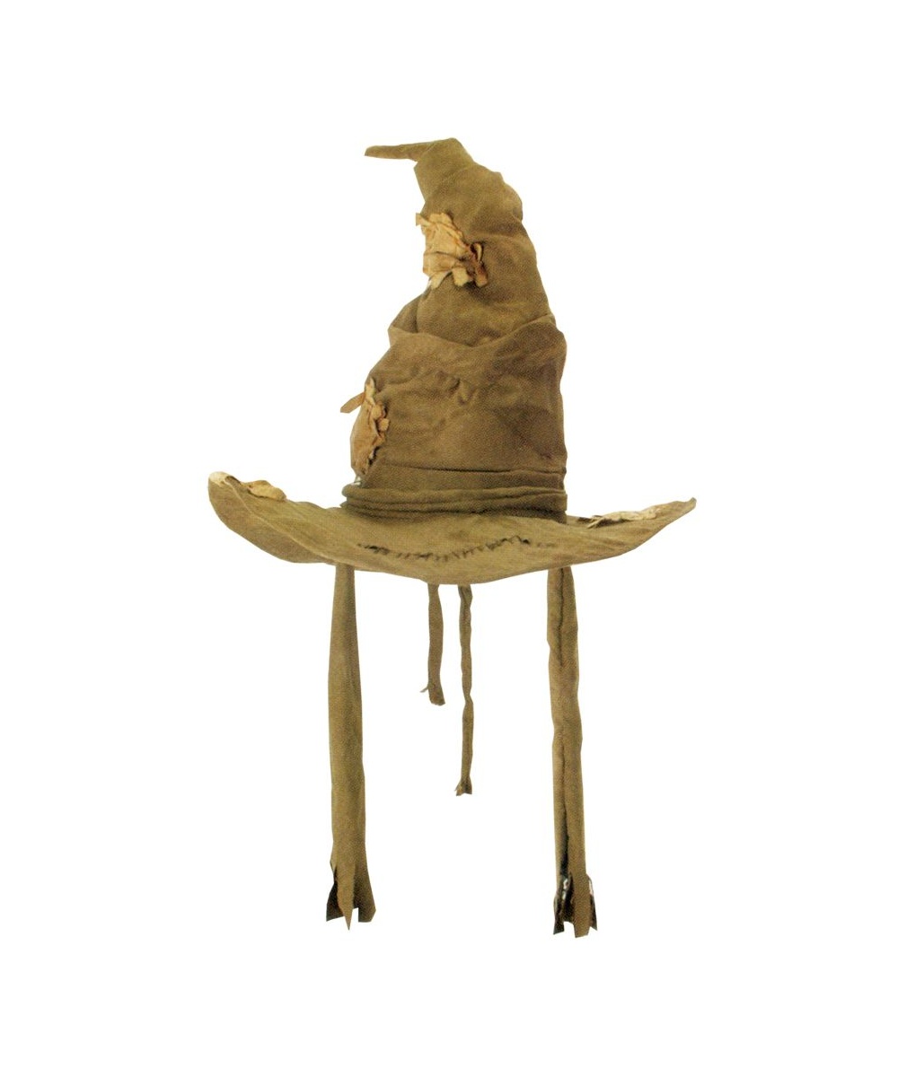 Harry Potter Sorting Hat